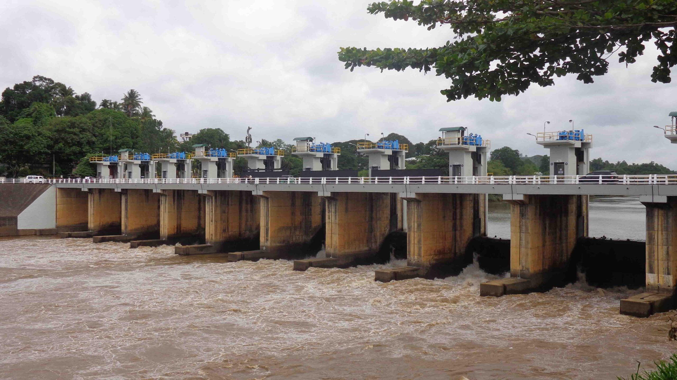 Power and Energy - DGES